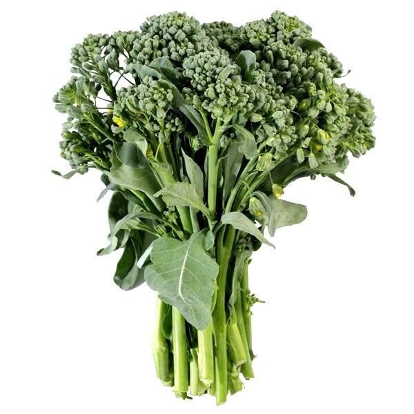 Brócolis Comum TERRA VIVA Unidade - Angeloni Supermercado