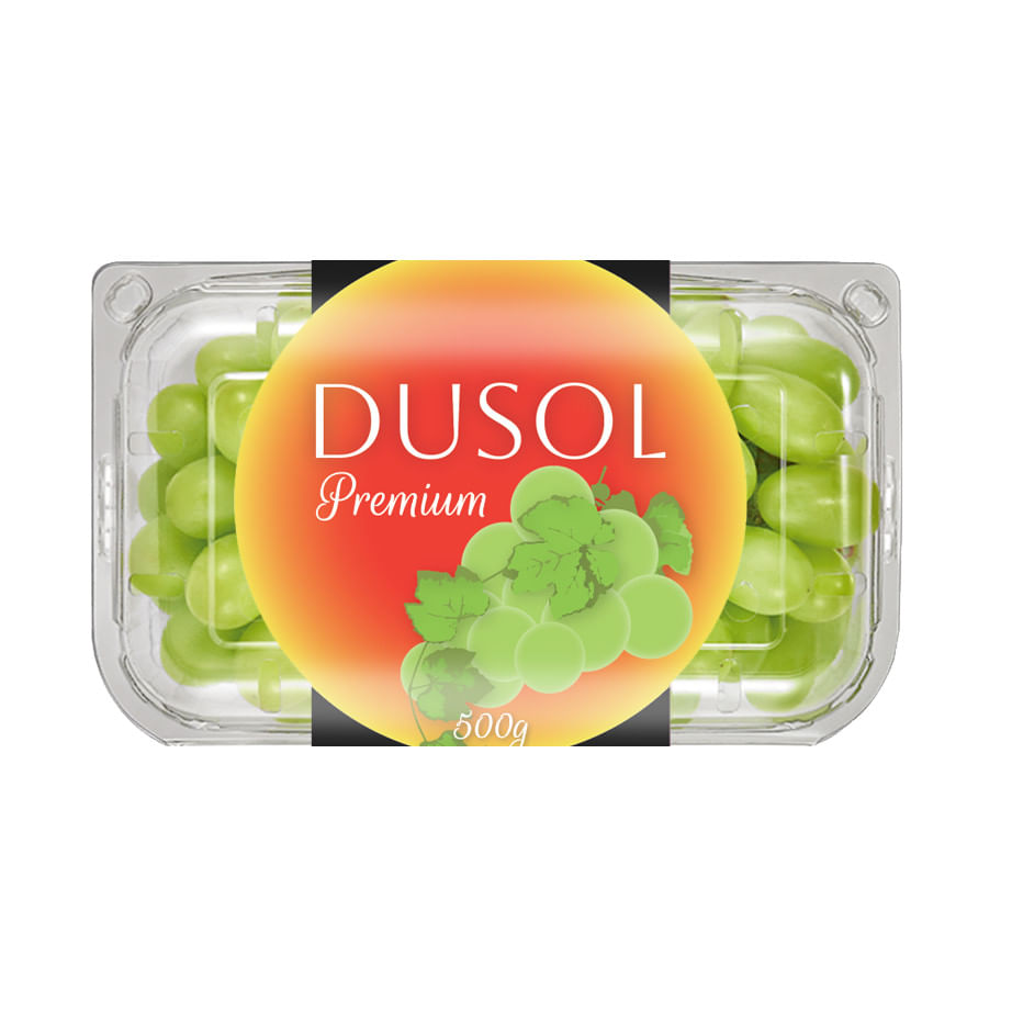 Uva Verde DUSOL Premium sem Semente 500g - Angeloni Supermercado